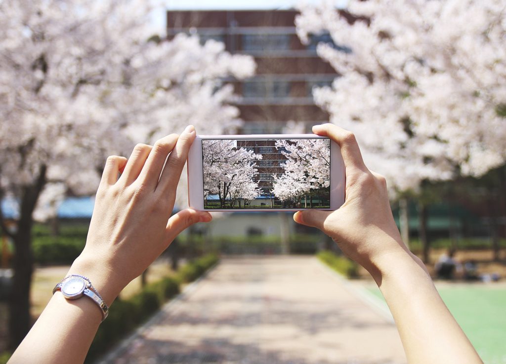 Making the Most of Your Cellphone Camera - Good Times