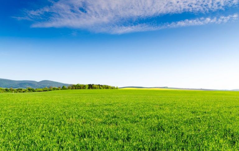 The Open Air Is Good for Body and Mind - Good Times