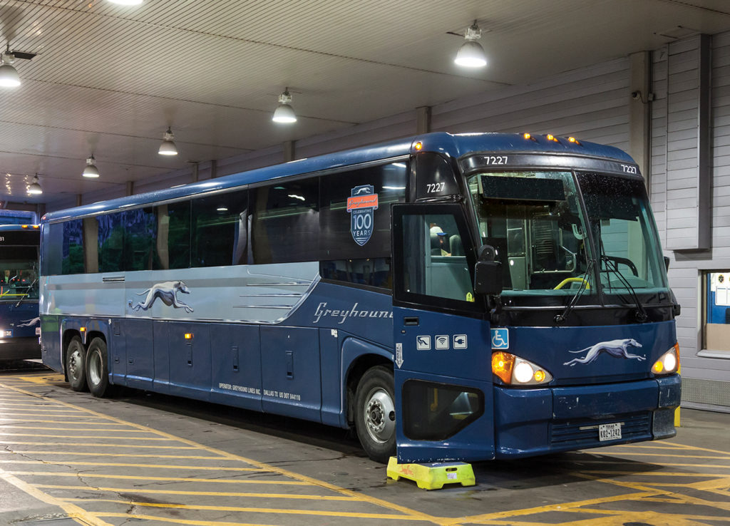Greyhound Buses on Hiatus - Good Times